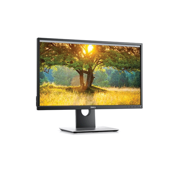 Dell P2417H 23.8" IPS FHD Monitor DP HDMI VGA USB Hub – Reboot IT